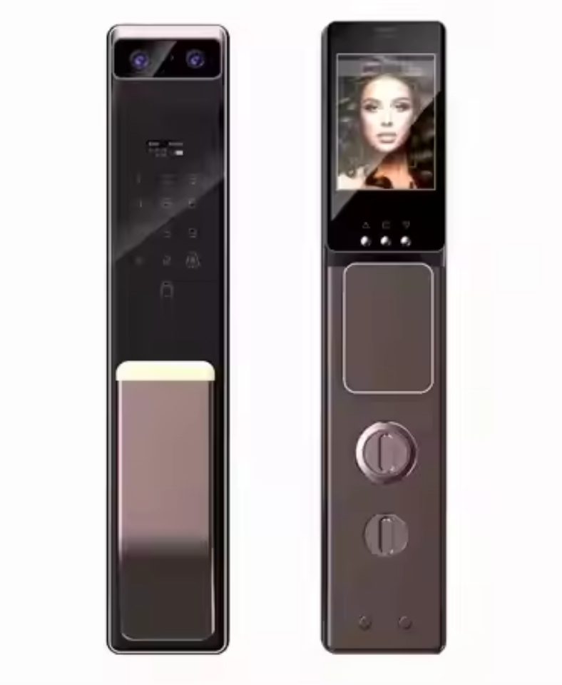 Face Recognition Smart Digital Door Lock - New design Hot sale Smart ...